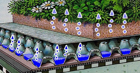 Végétalisation | Build Green