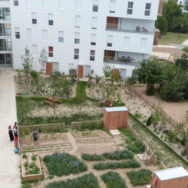 2 exemples d'éco-quartiers pour rendre une ville écologique | Build Green