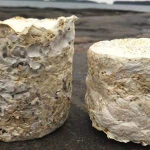 Design circulaire et matériaux biosourcés pour ce bâtiment présenté à ...