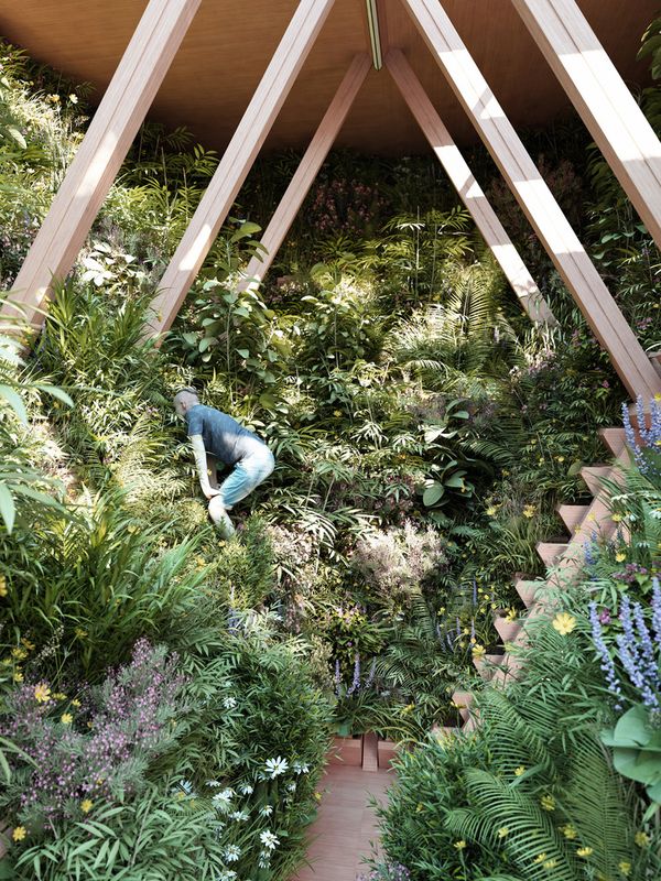 Precht Designs : immeuble en bois avec maisons modulaires et ...