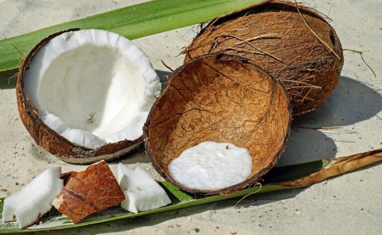 La fibre de coco pourrait-elle être utilisée dans le béton ? | Build Green