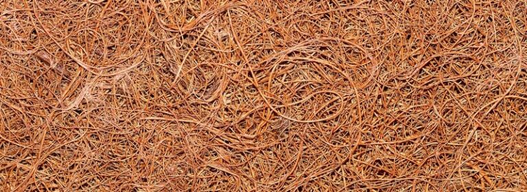 La fibre de coco pourrait-elle être utilisée dans le béton ? | Build Green