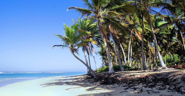 La fibre de coco pourrait-elle être utilisée dans le béton ? | Build Green