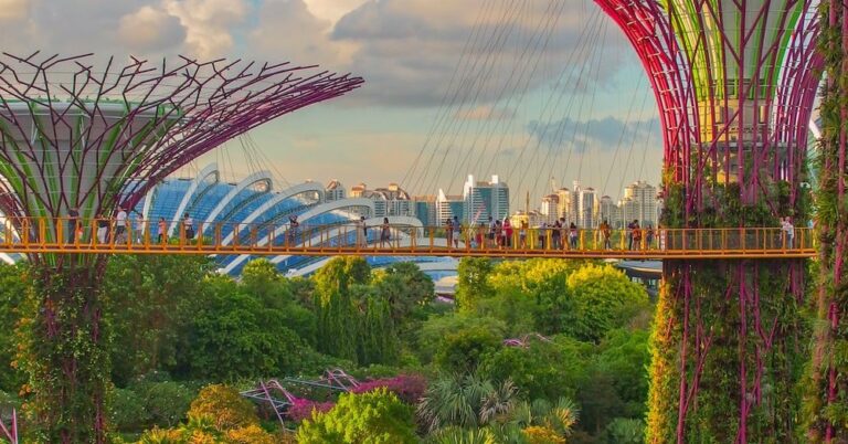 Biomimétisme : une source d'inspiration pour la bioarchitecture | Build ...