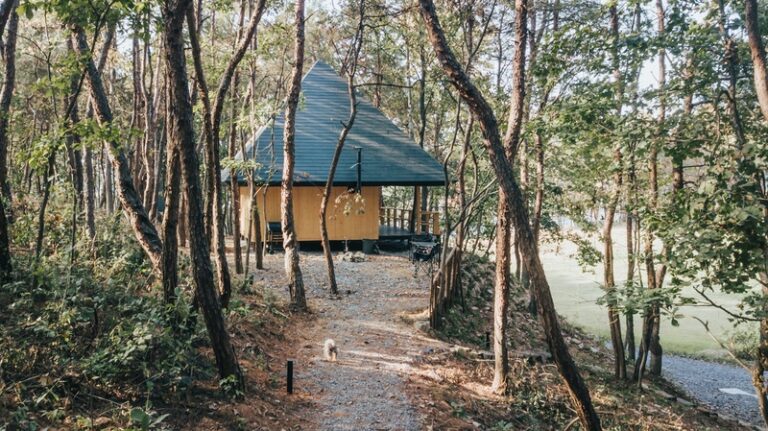 Une cabane en bois aux formes pyramidales et dimensions minimalistes ...