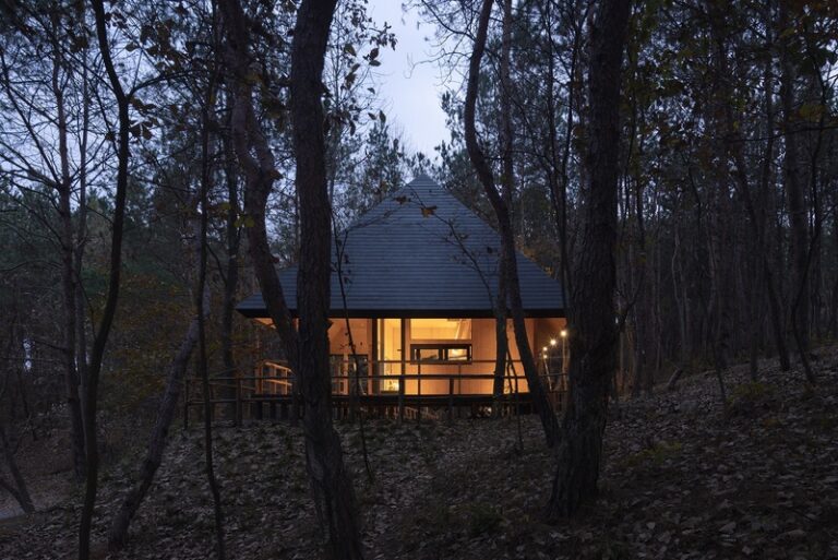 Une cabane en bois aux formes pyramidales et dimensions minimalistes ...