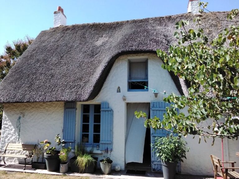 Le Chaume : un matériau naturel aux multiples usages pour le bâtiment ...