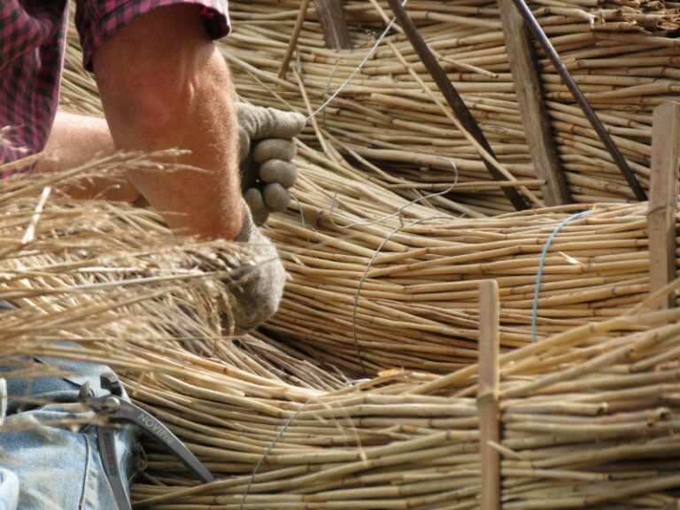 Le Chaume : un matériau naturel aux multiples usages pour le bâtiment ...