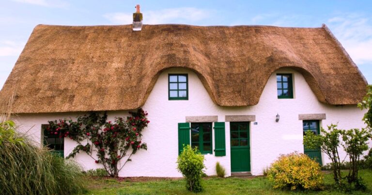 Le Chaume : un matériau naturel aux multiples usages pour le bâtiment ...